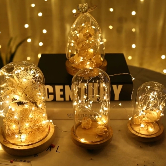 Accents | Copper Wire String Light 3m | Poshmark